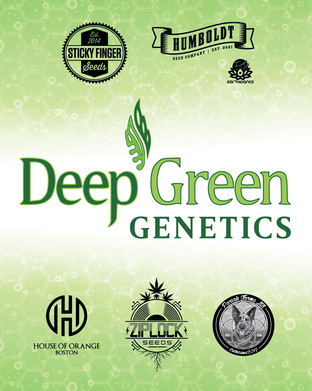 About - Deep Green